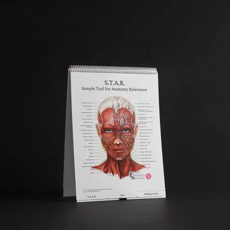 The Aesthetic Anatomy Coach Flip Chart | Connie Brennan